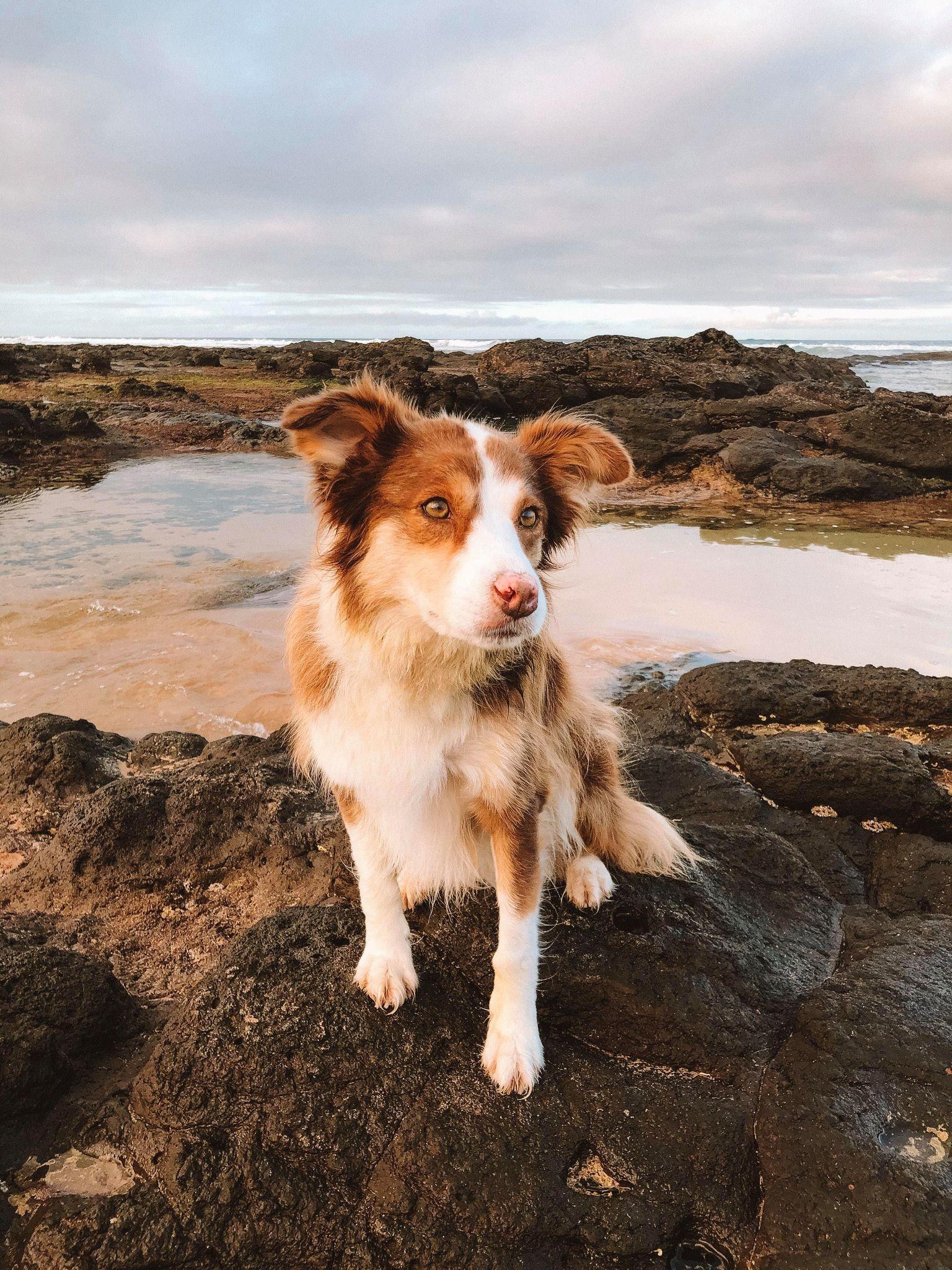 Newhaven | Visit Phillip Island