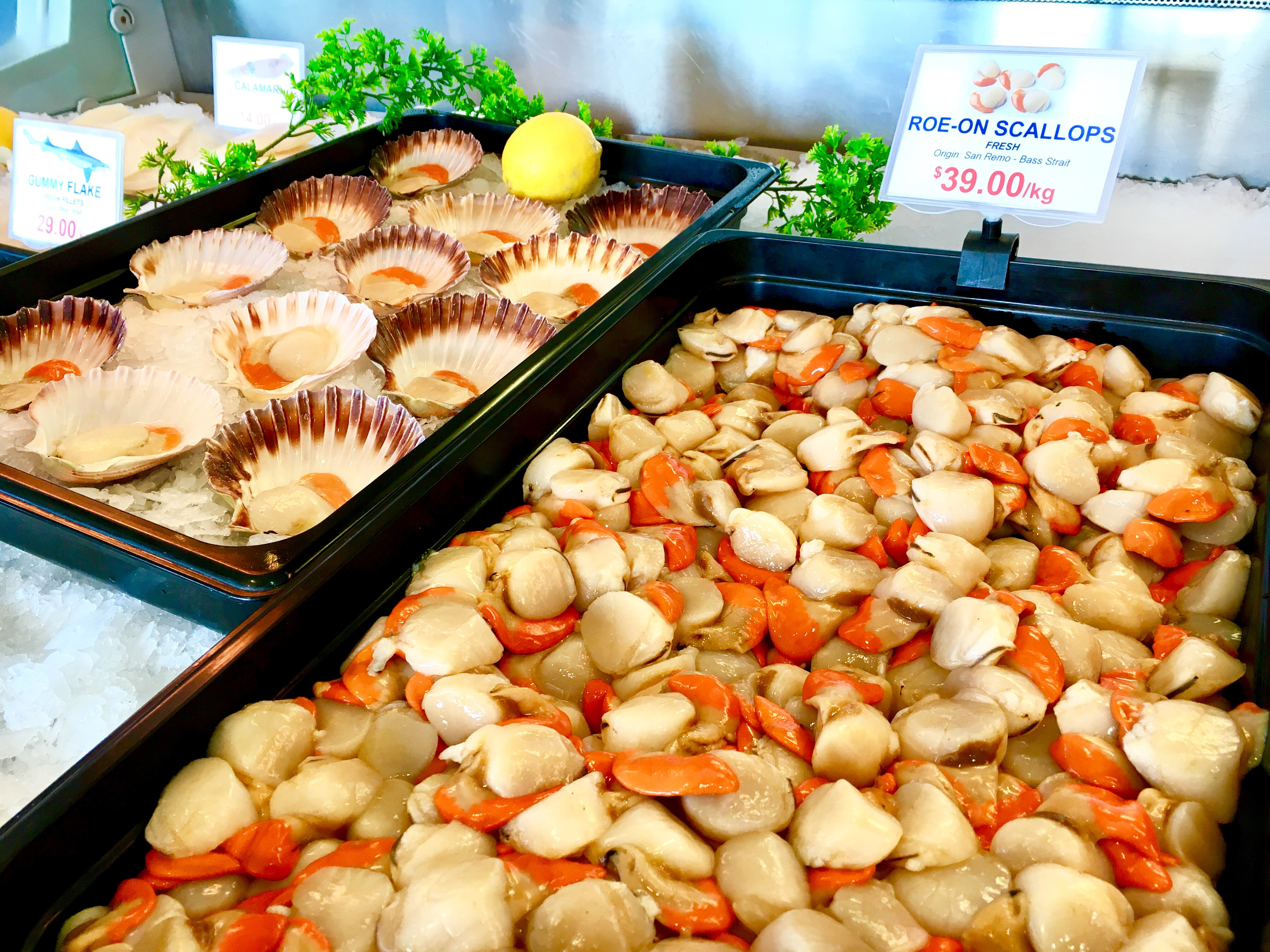 Spring Seafood Delights: Explore Phillip Island's Finest Catch