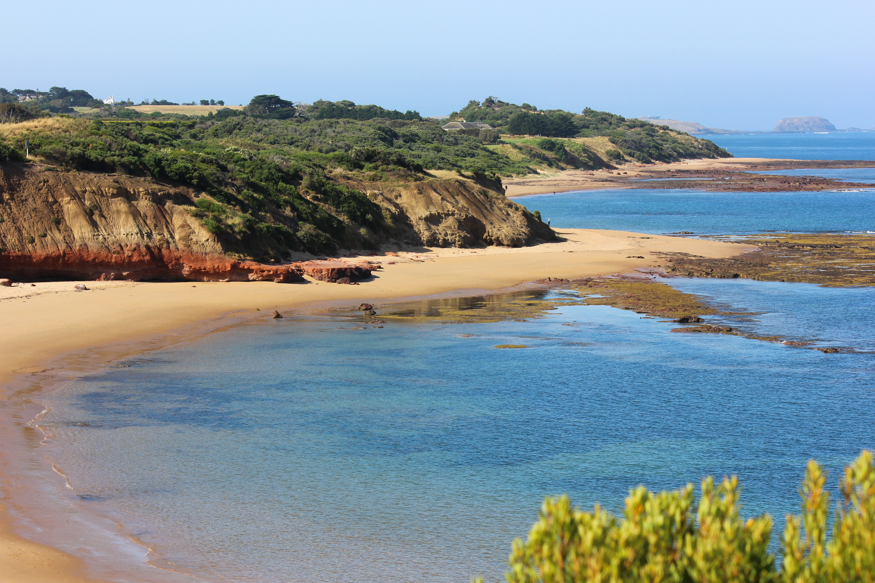 Phillip Island Nature Parks - 3 Parks Pass | Visit Phillip Island