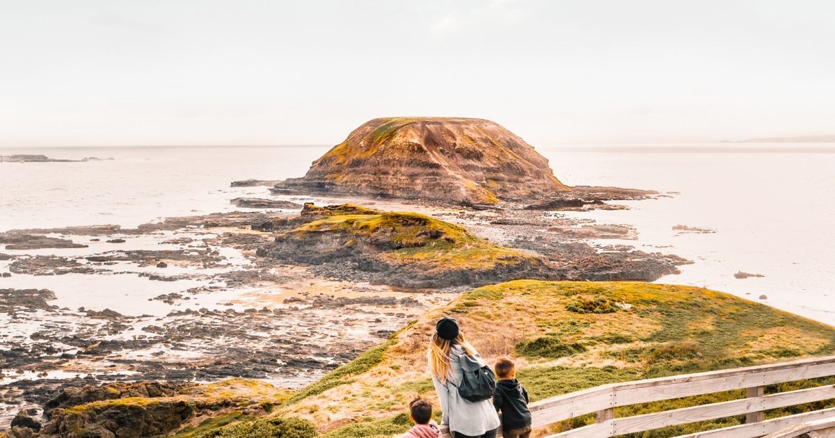 See & Do | Visit Phillip Island