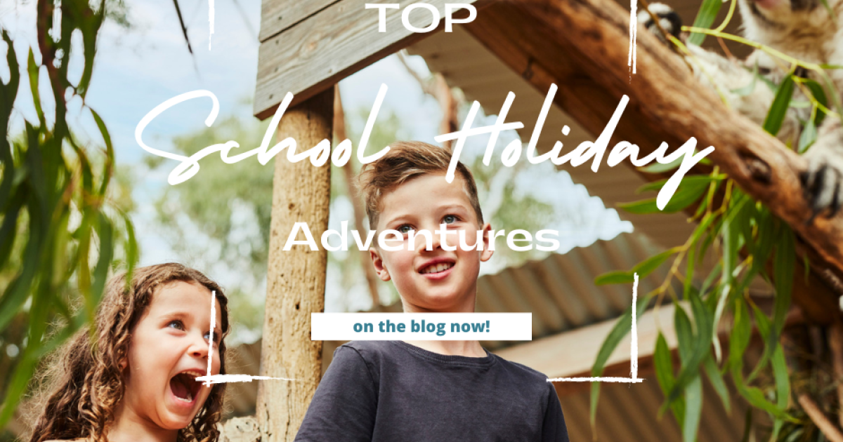 Top School Holiday Adventures for Families on Phillip Island