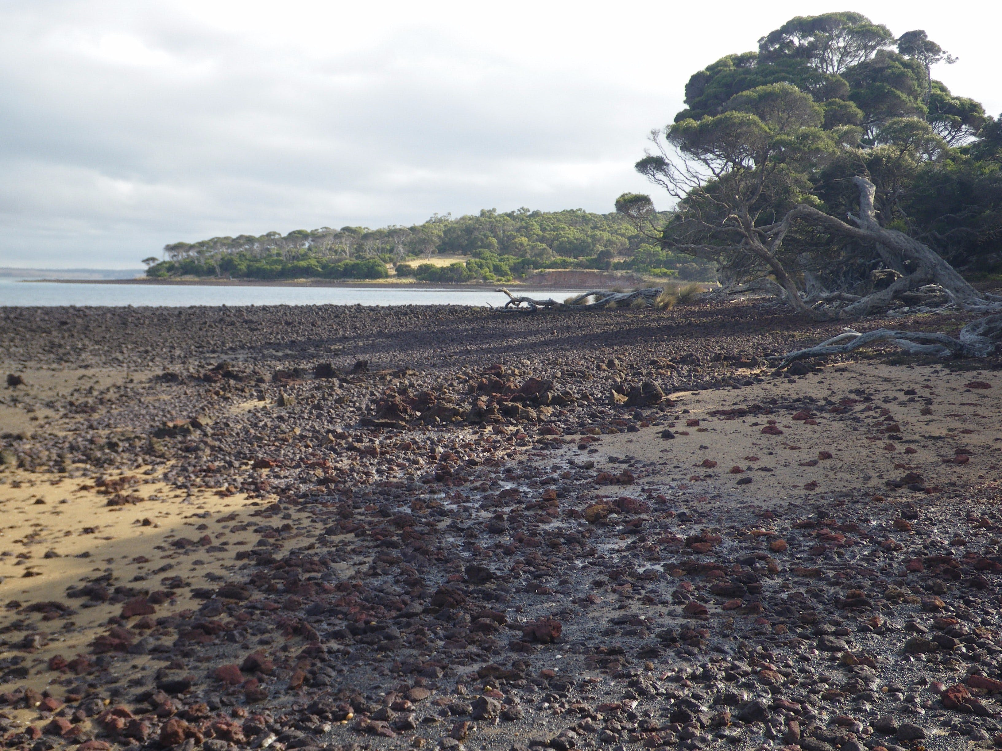 Nature Reserves | Phillip Island