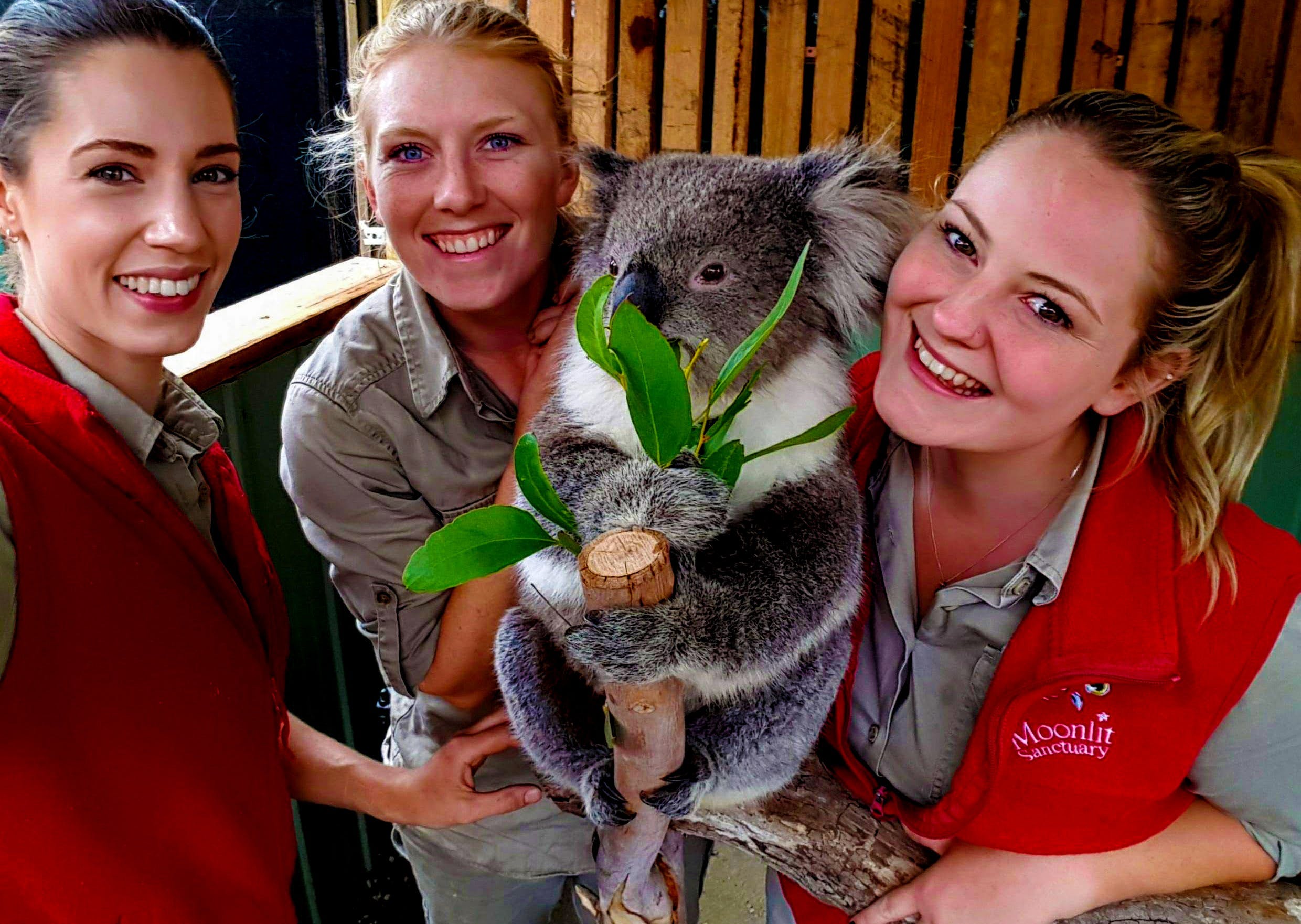 Moonlit Sanctuary Wildlife Conservation Park | Visit Phillip Island