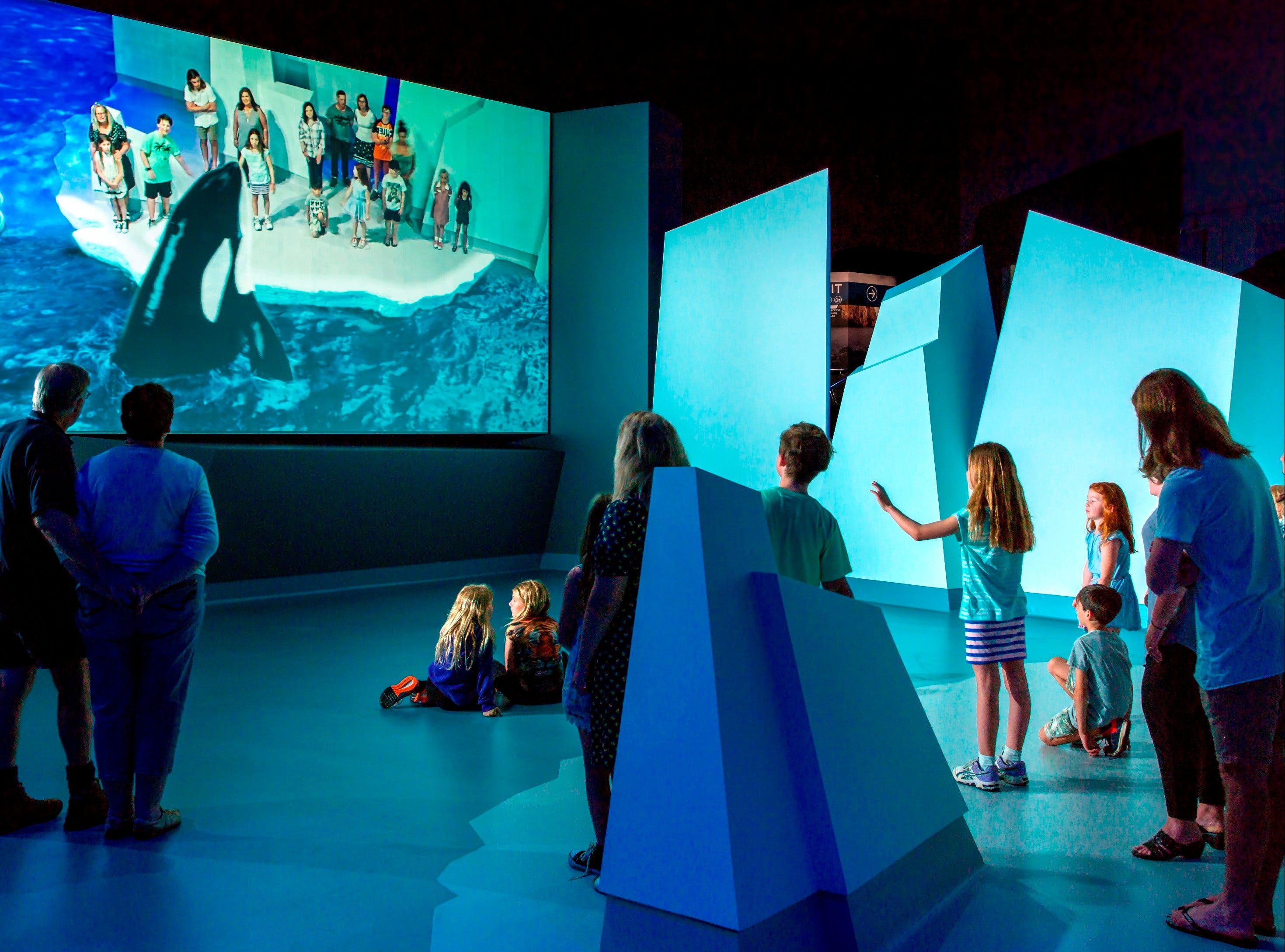 Antarctic Journey at the Nobbies | Phillip Island