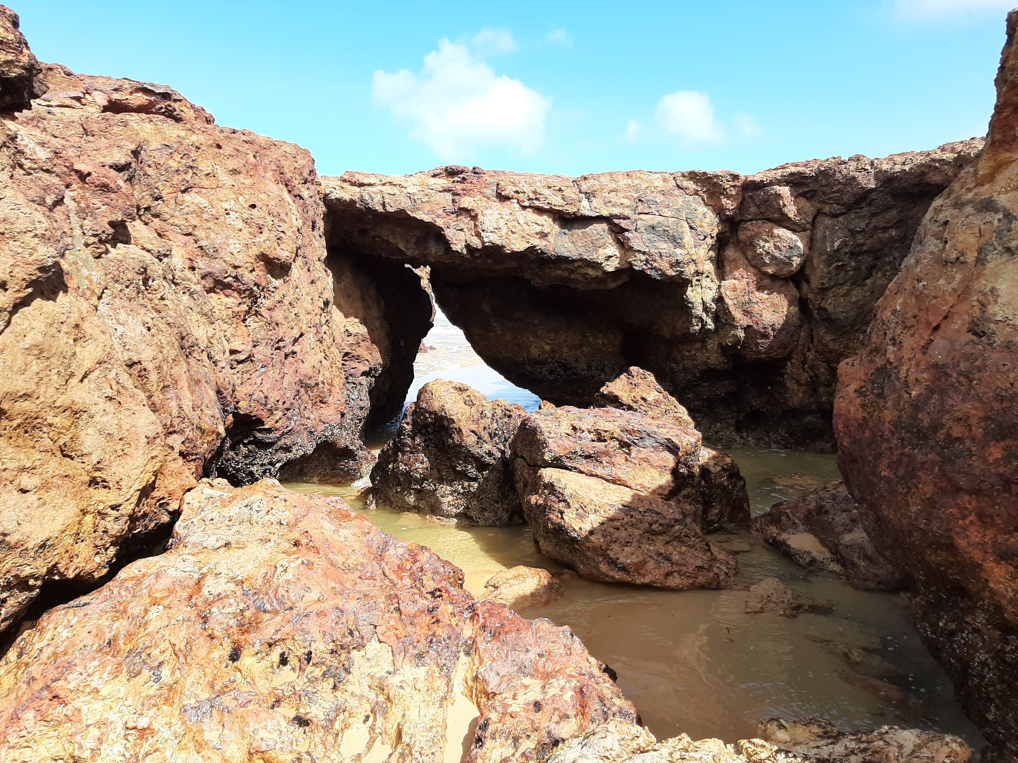 Forrest Caves Walk | Phillip Island